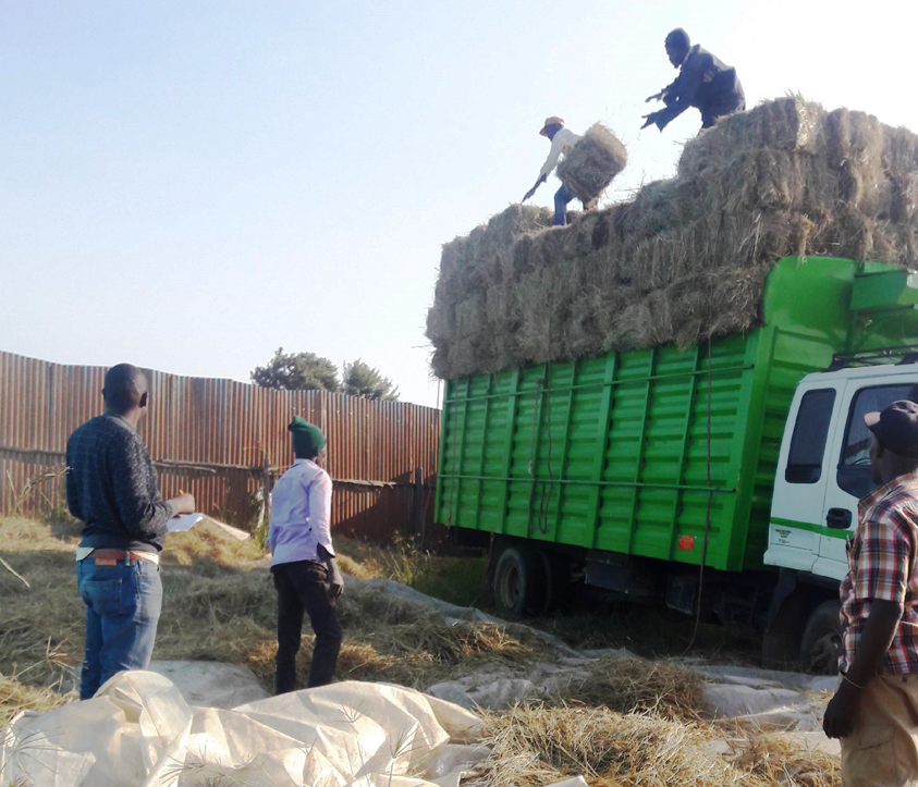 Spard Africa : Your Strategic Partner in Research & Development – Your ...